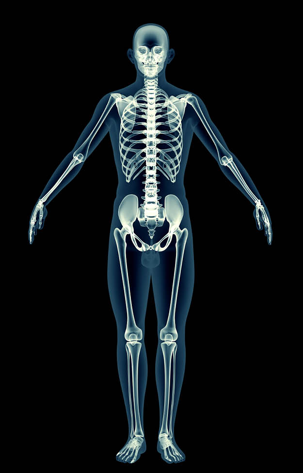 Is A Full Body Scan A Good Stop On The Road To Wellness Living Magazine