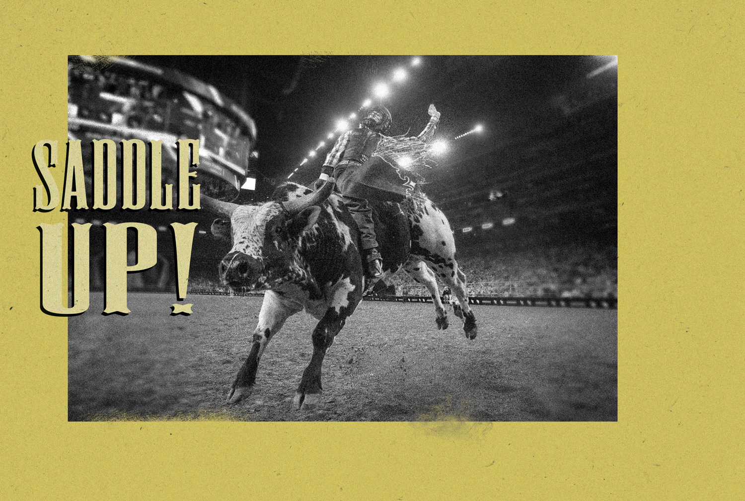 Houston Rodeo's Humble Roots and Timeless Appeal